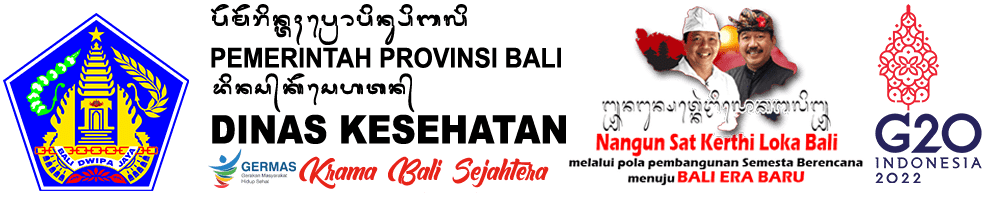 Struktur Organisasi Diskes Bali - Dinas Kesehatan Provinsi Bali