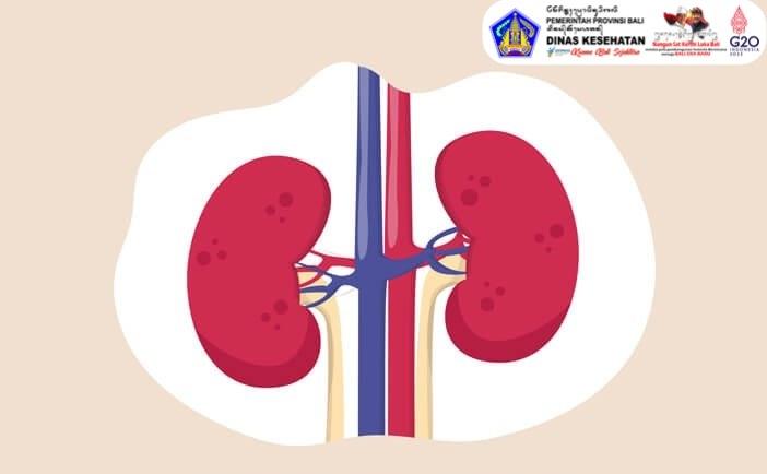 Waspada Gagal Ginjal Akut Anak