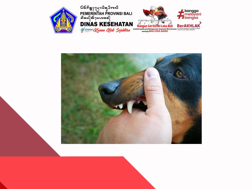 Waspada !! Rabies Masih Ada Jaga Diri dari GHPR
