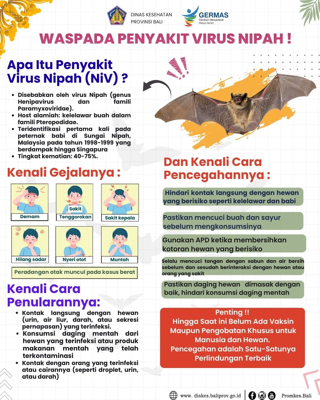 Penyakit Akibat Virus Nipah dan Cara Penularan dan Mencegahnya